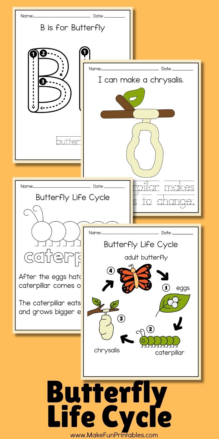 Butterfly Life Cycle Worksheets Preschool - Make Fun Printables