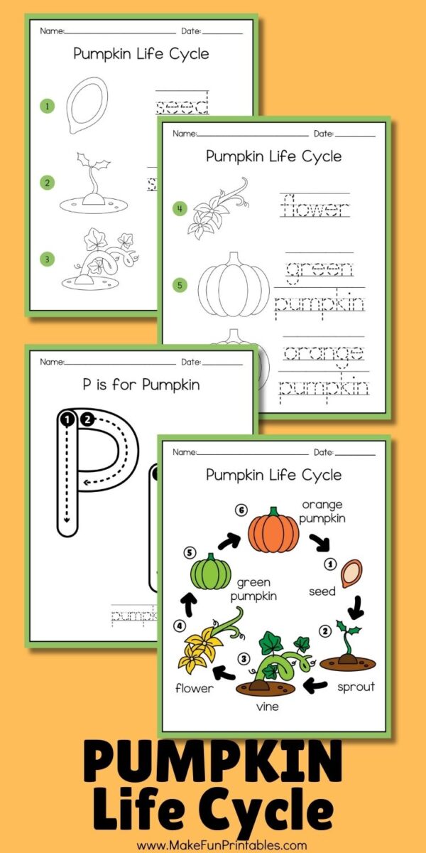 Pumpkin Life Cycle Worksheets - Fall Science Printables for Preschool ...