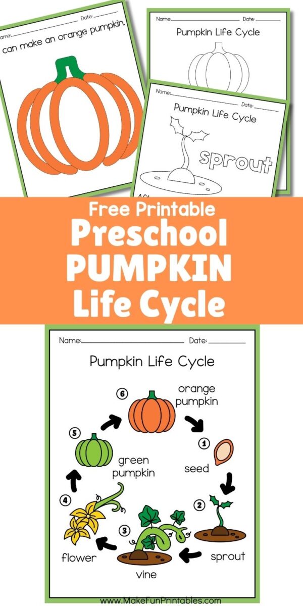 Pumpkin Life Cycle Worksheets - Fall Science Printables for Preschool ...