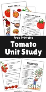 Tomato Unit Study Worksheets- Fun Plant Science