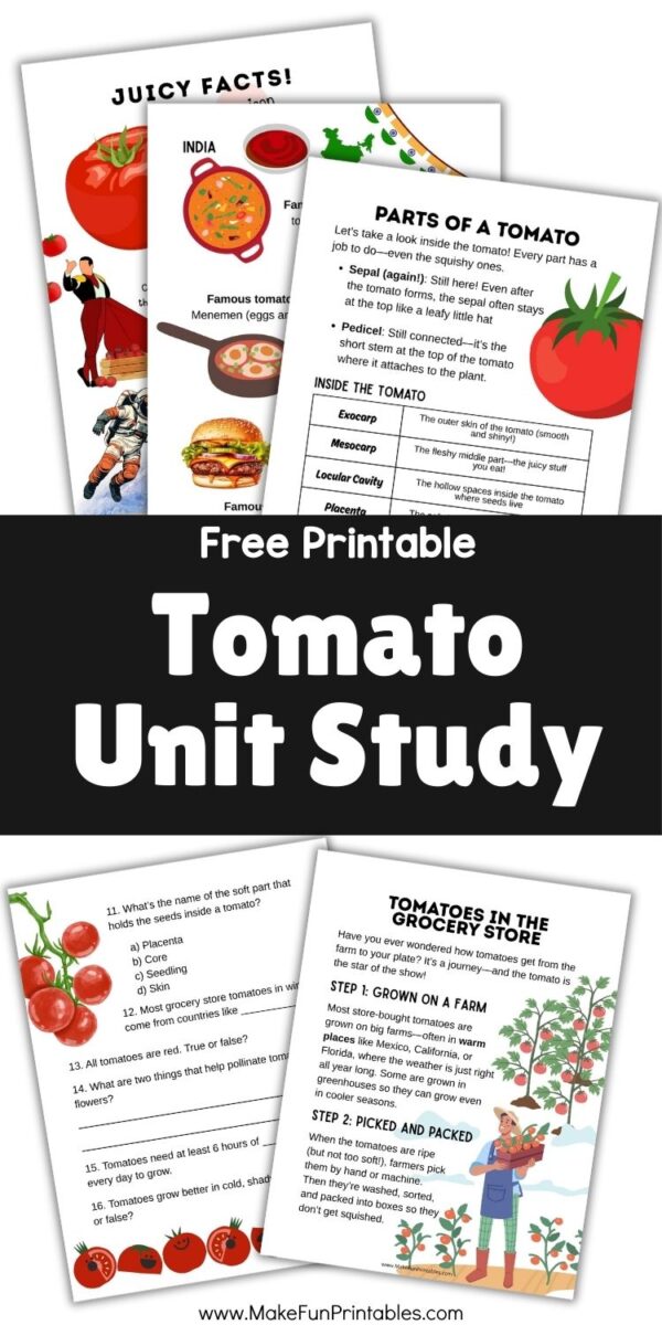 Tomato Unit Study Worksheets- Fun Plant Science