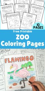 Zoo Animal Coloring Pages - Make Fun Printables