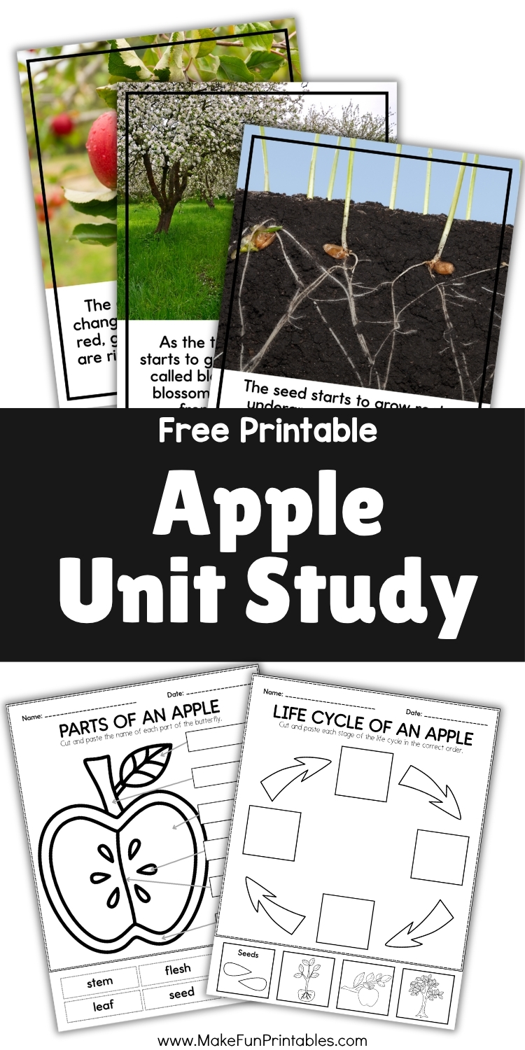 Apple Unit Study Worksheets - Free Fall Printables for Preschool and ...