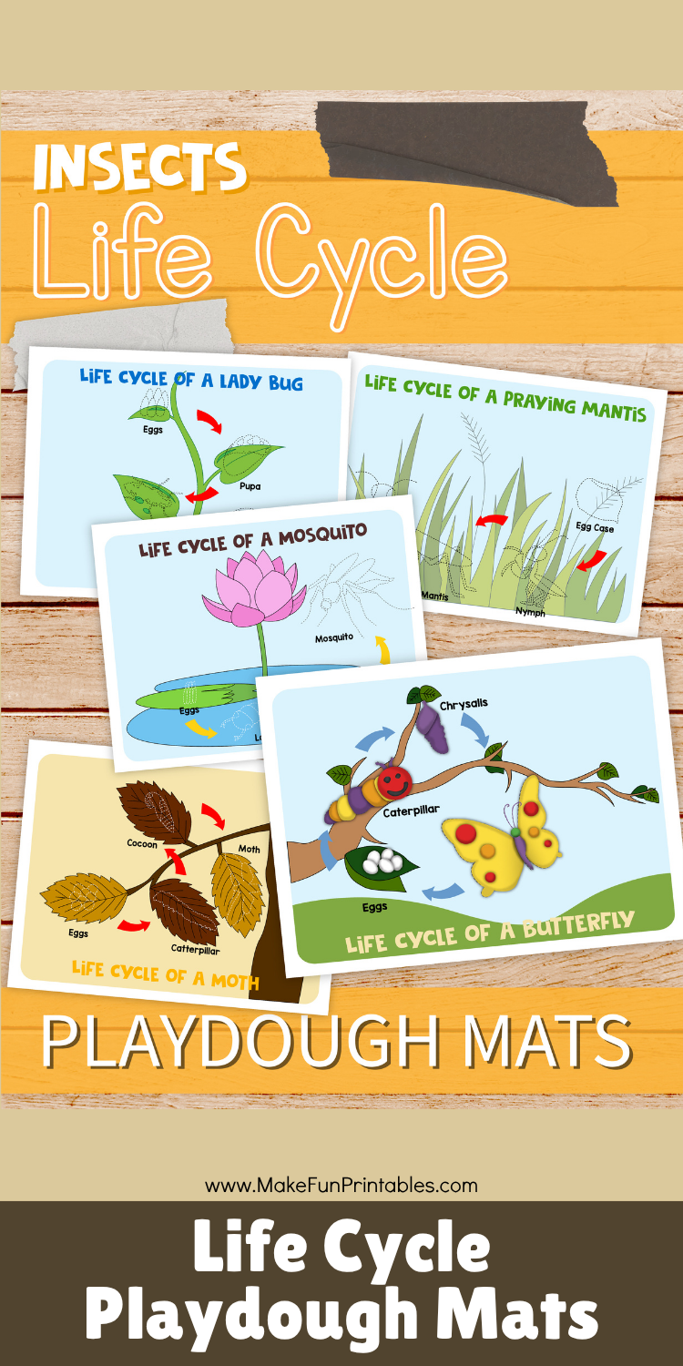 Insect Life Cycle Playdough Mats – Fun, Hands On Science for Kids ...