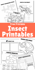 Insects Study Unit Printables for Kids - Make Fun Printables