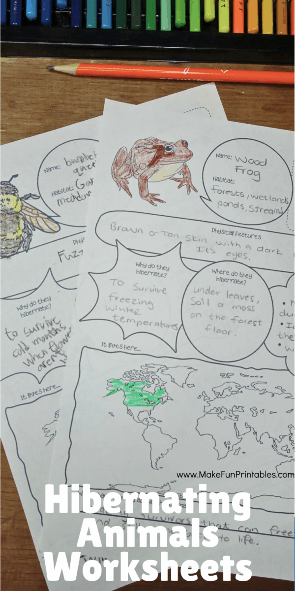 Free Hibernating Animals Worksheets for Elementary and Kindergarten ...