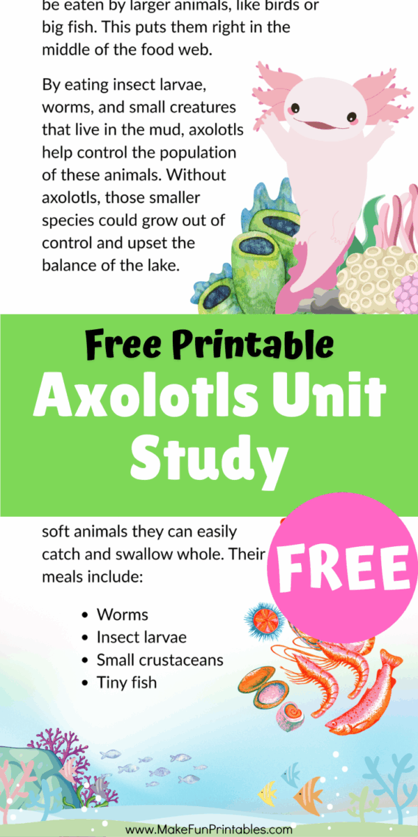 Free Axolotls Unit Study for Preschool and Kindergarten - Make Fun ...