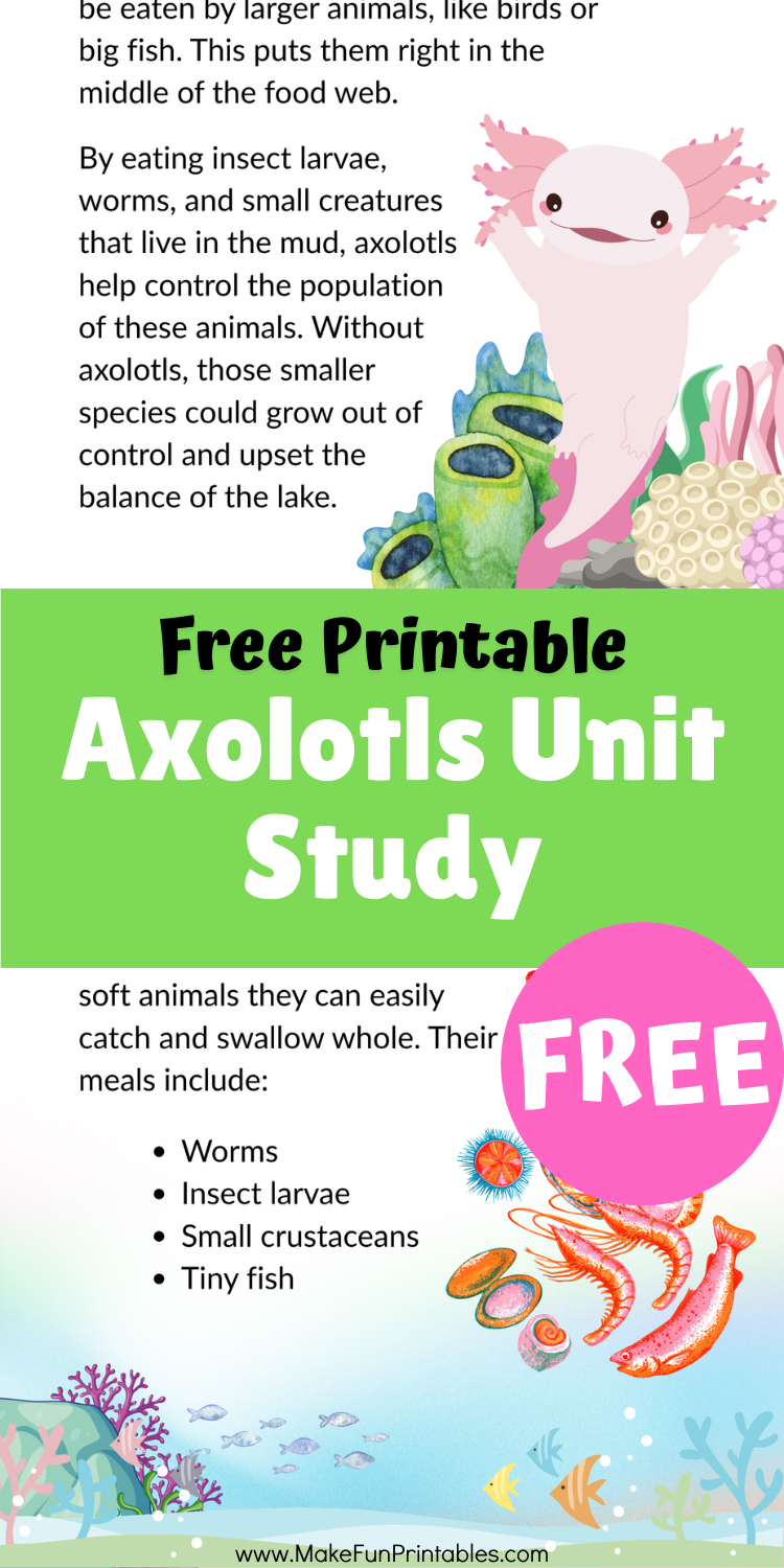 Free Axolotls Unit Study for Preschool and Kindergarten - Make Fun ...